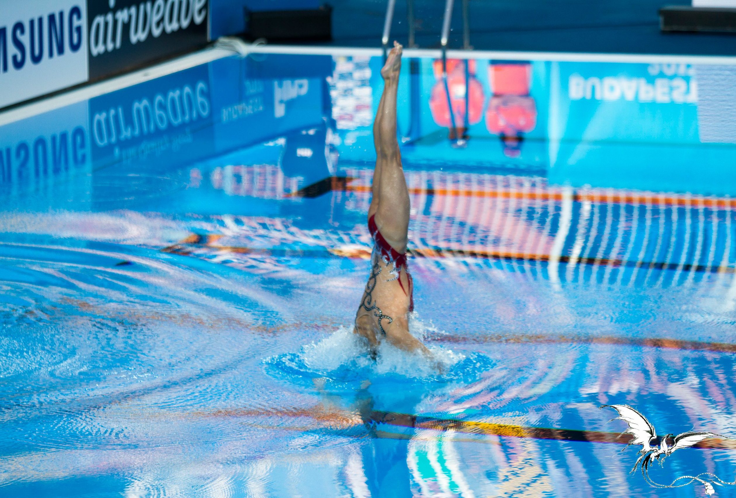 Natation Artistique - Ligue Grand Est de natation